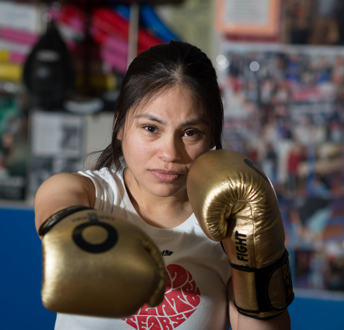 EVOLVE BOXING GLOVE - 12 oz RESPECT – REVOLHEART